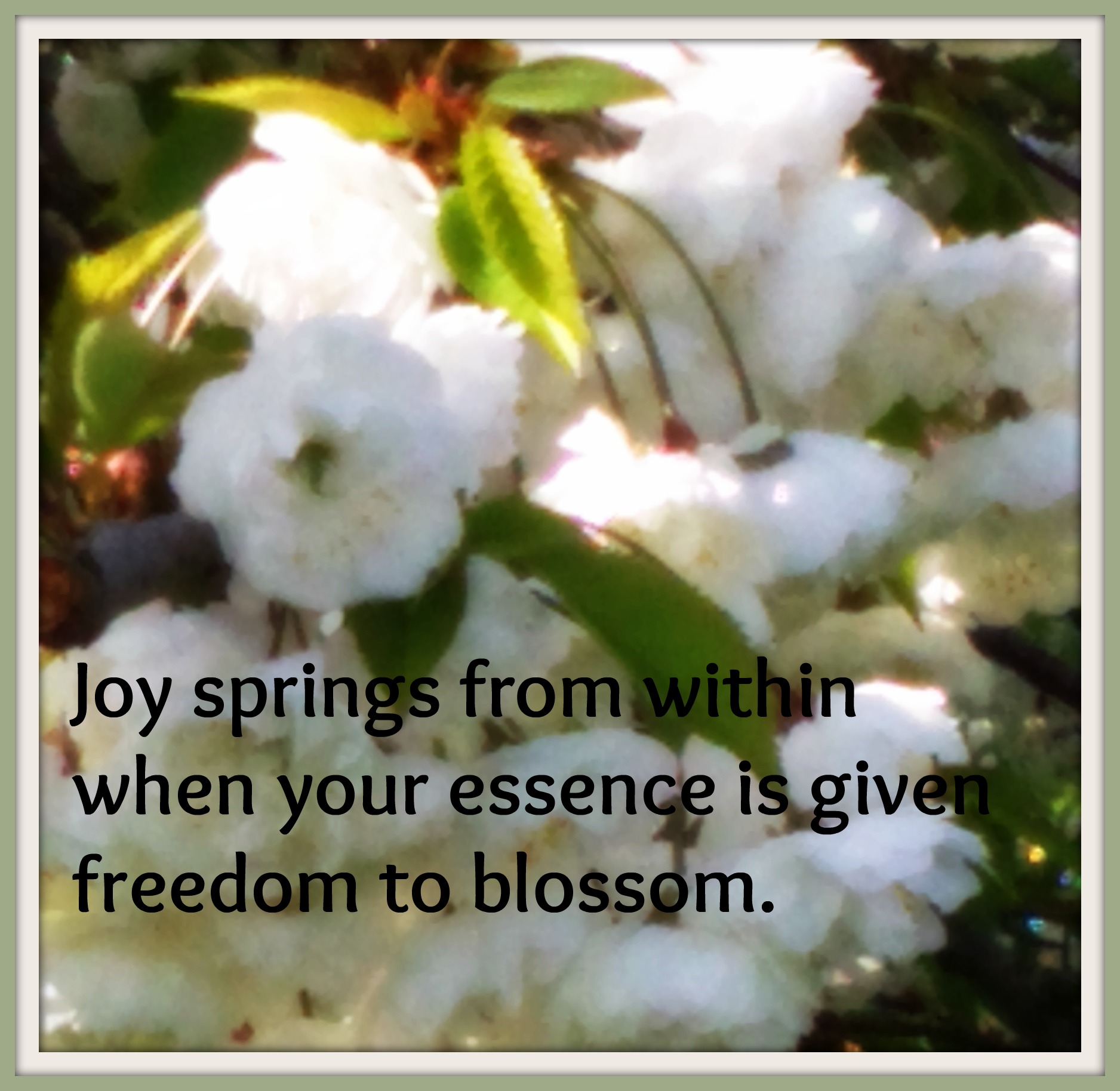 Essential Principles, Practices and Panaceas, A – Z: Joy – The ...